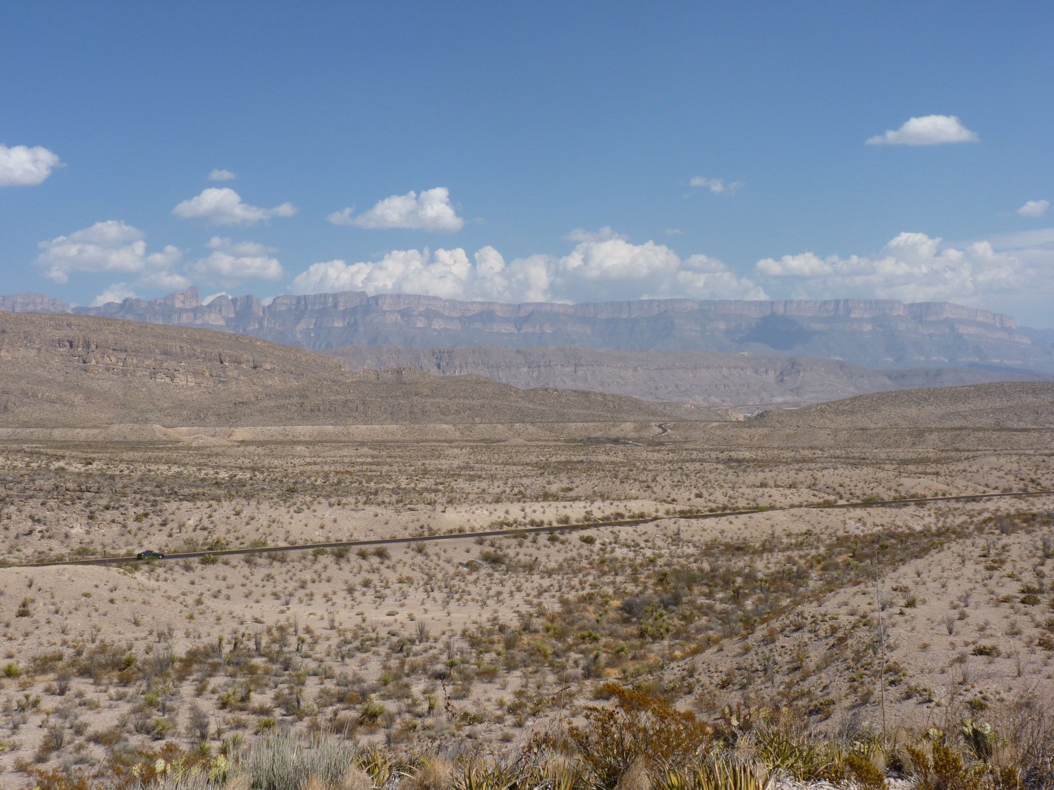 Chapter 9 – Texas Deserts and Shrublands – Texas Wildlife Science